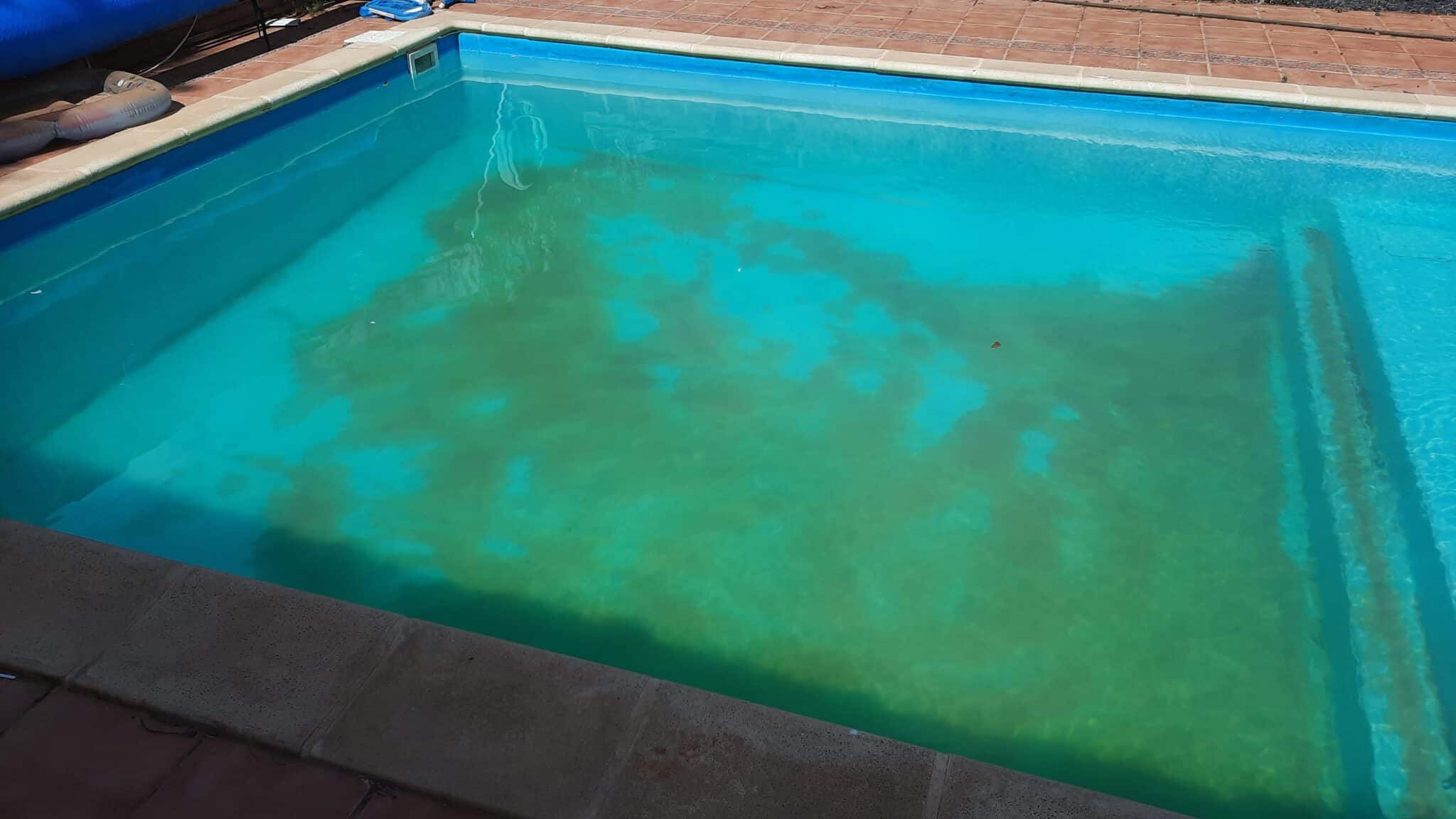 How to Get Rid of Algae in Pool Quickly - Easy Pool Cleaning