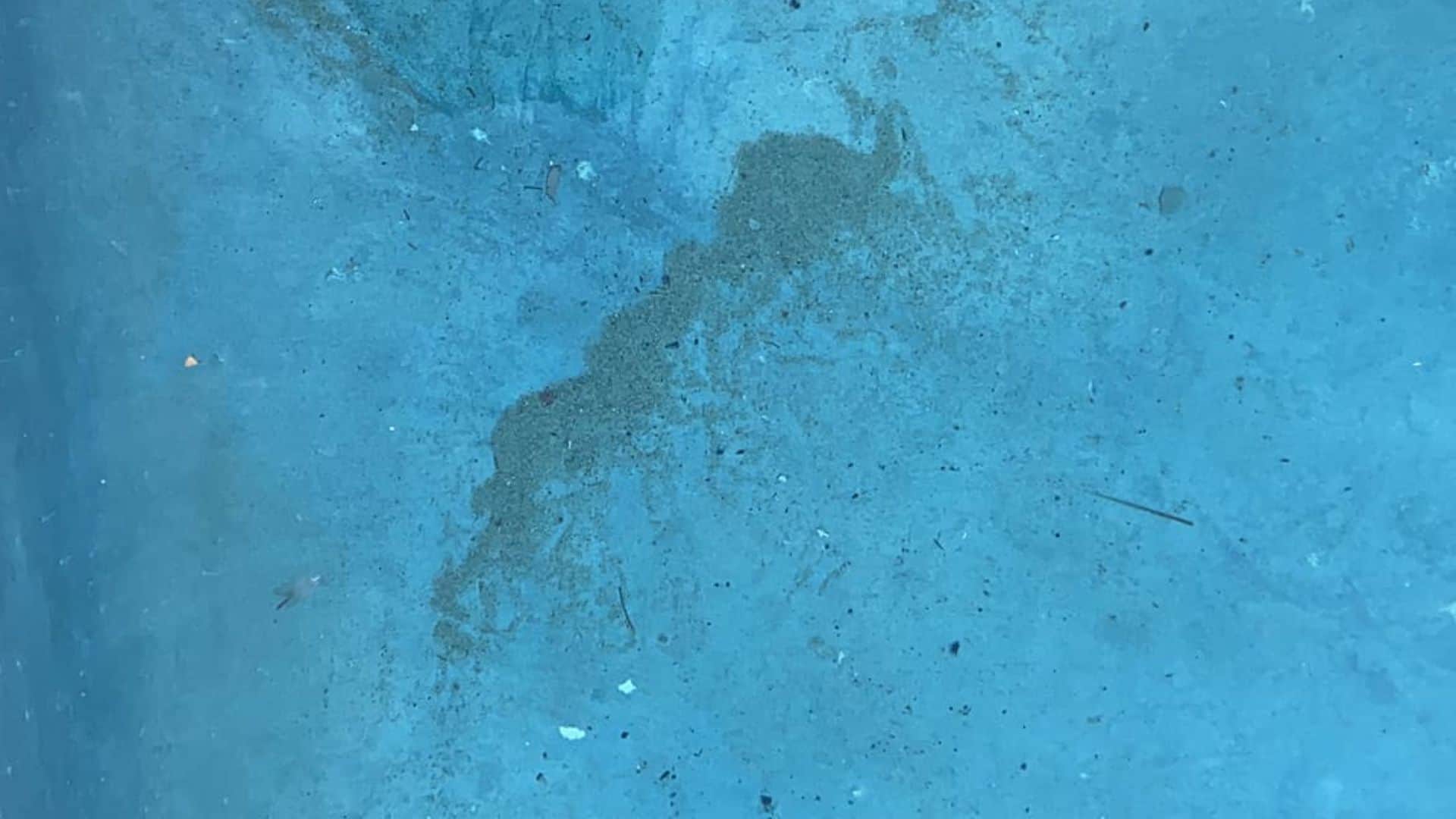 Why Is My Pool Filter Blowing Out Sand? This May Be Why!
